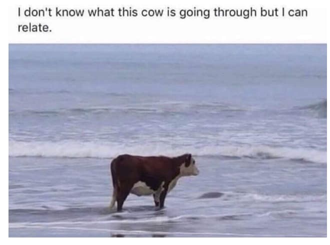 25 Perfect Memes For People Who Prefer Staying In Over Going Out