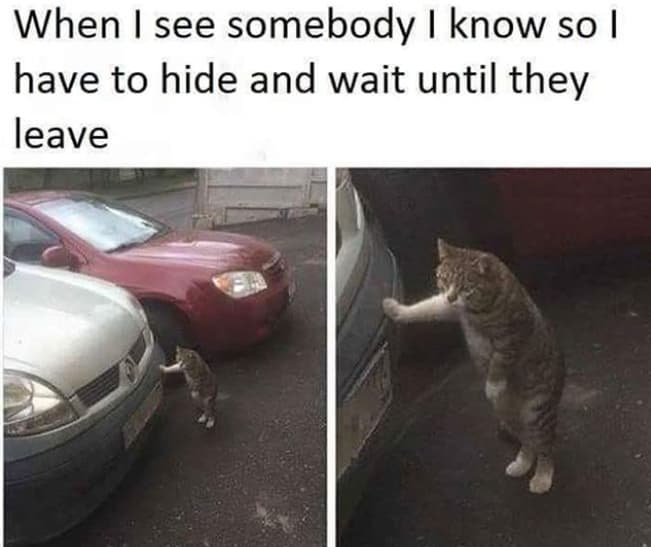 25 Perfect Memes For People Who Prefer Staying In Over Going Out