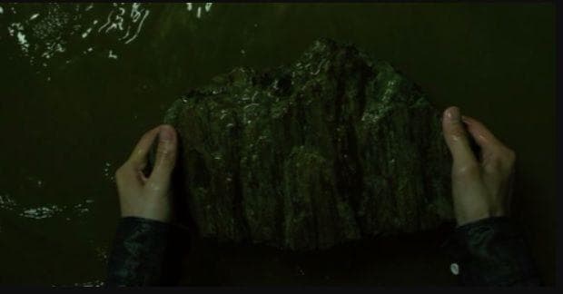 15 Easter Eggs In 'Parasite' You Probably Didn't Notice