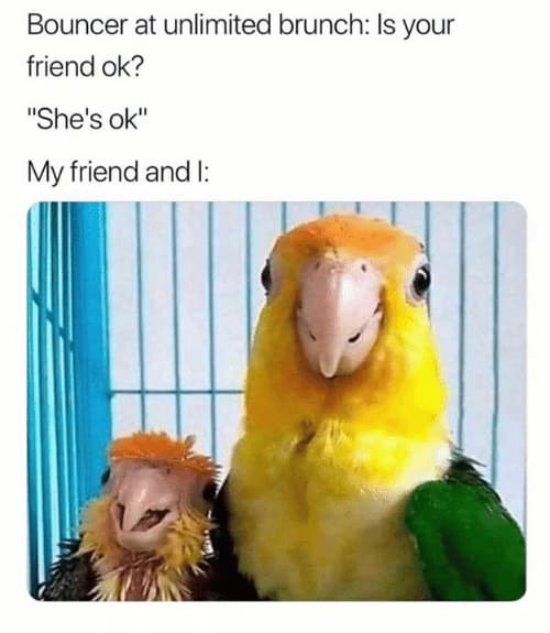 24 Memes For People Who Are Addicted To Brunch
