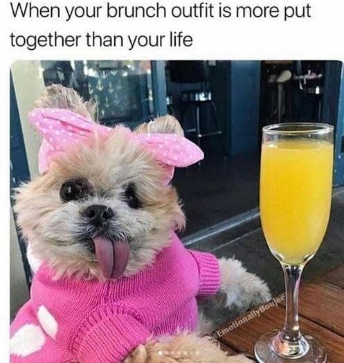 24 Memes For People Who Are Addicted To Brunch