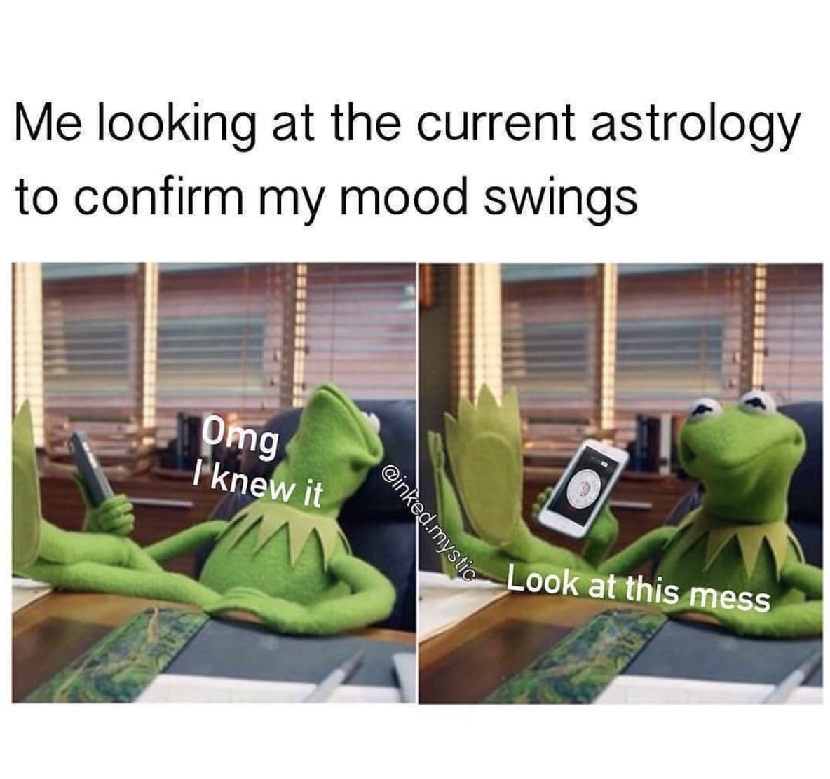 22 Astrology Memes Only People Who Are Way Too Into Astrology Will ...