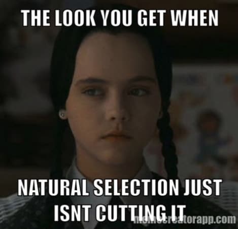 22 Wednesday Addams Memes That Warm Our Dark Hearts