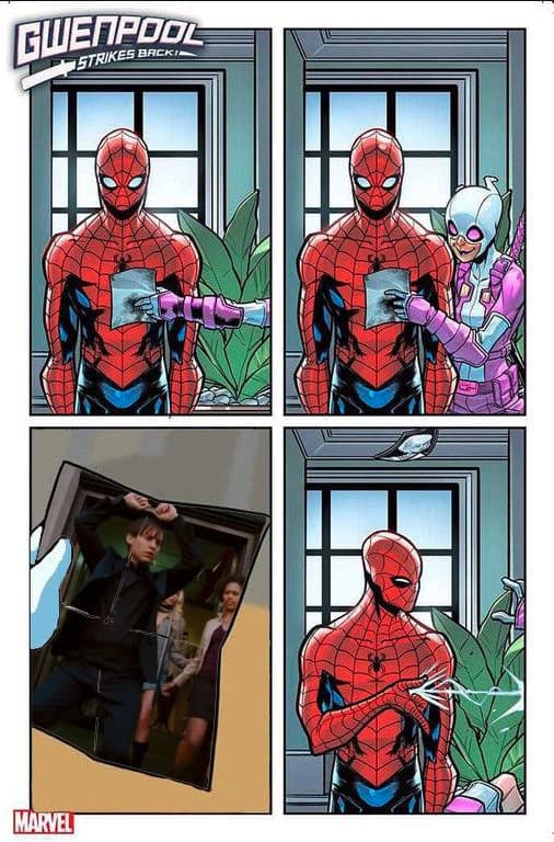Spiderman Comic Meme