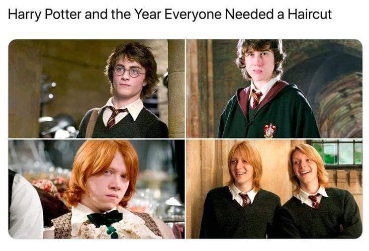 25 Hilarious Harry Potter Memes Only Hardcore Fans Can Relate To
