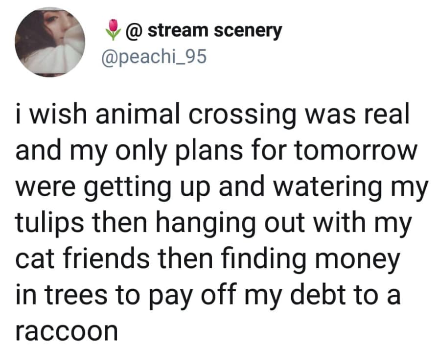 Animal Crossing Resetti Memes