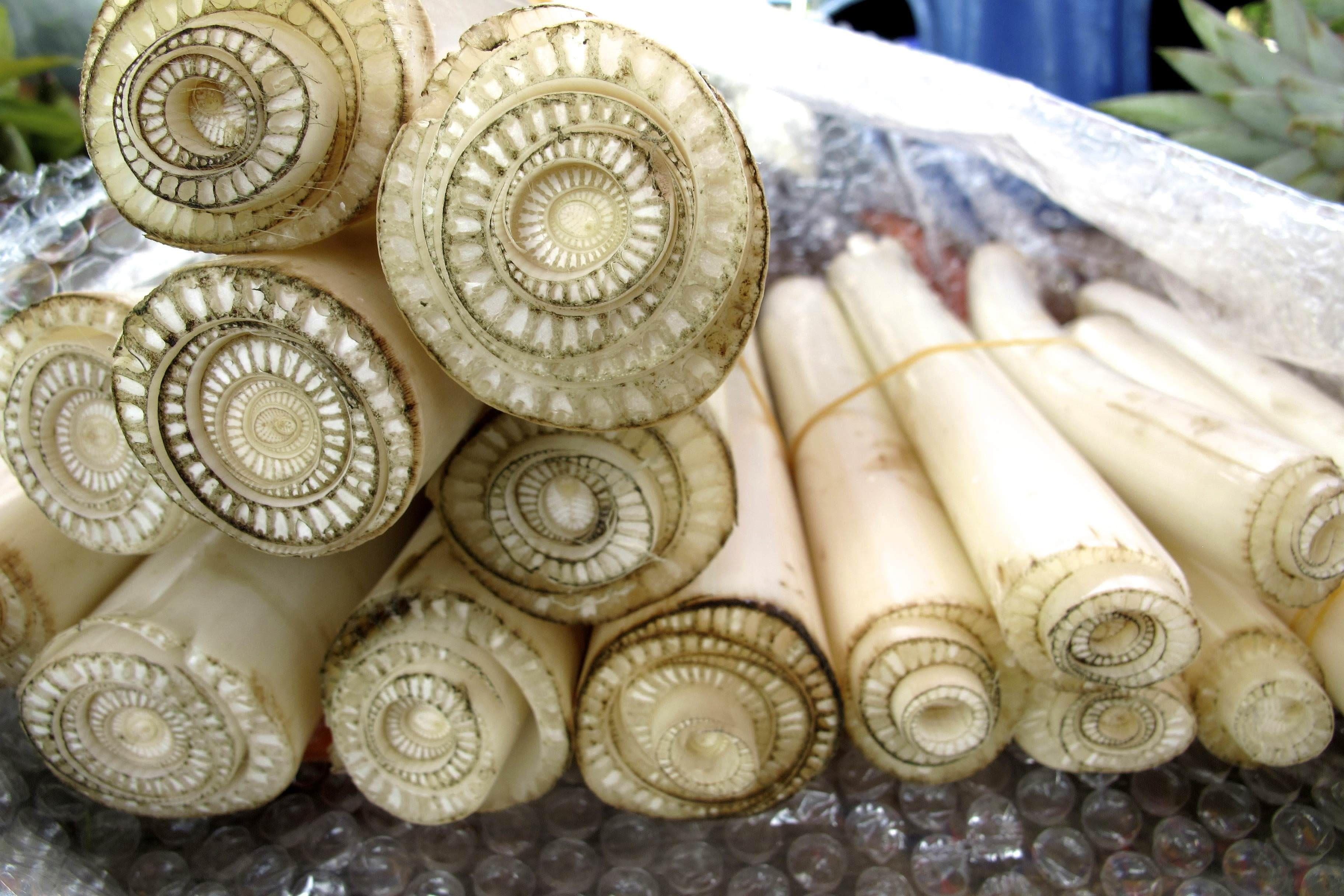 21 Interesting Photos Of Naturally Occurring Objects Cut In Half