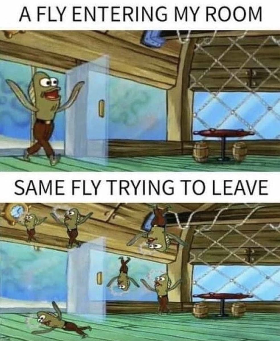 37 Random Spongebob Squarepants Memes That Take Memes To The Next Level