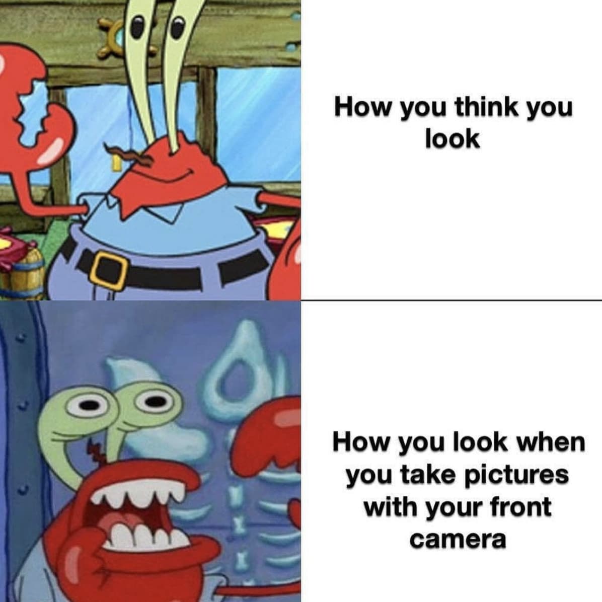 37 Random Spongebob Squarepants Memes That Take Memes To The Next Level