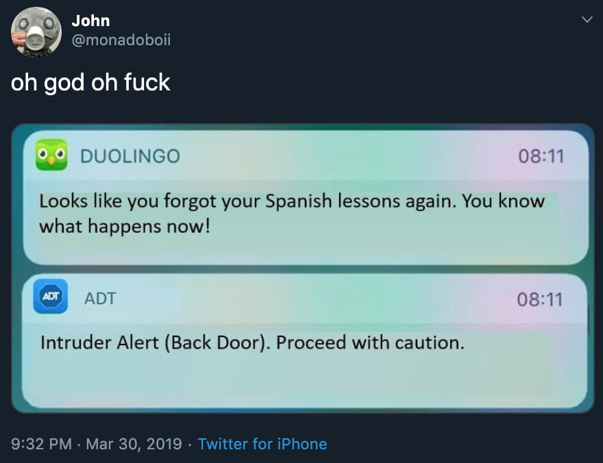 23 Memes That Perfectly Encapsulate How Scared We Are Of The Duolingo Owl