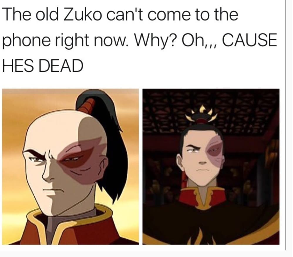 24 Memes About Zuko In 'Avatar: The Last Airbender' That Deserve A ...