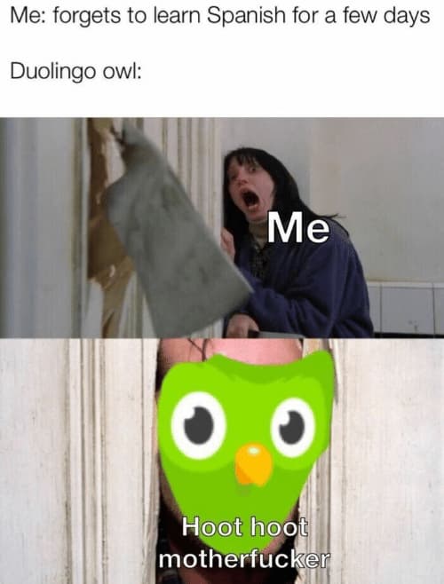 23 Memes That Perfectly Encapsulate How Scared We Are Of The Duolingo Owl