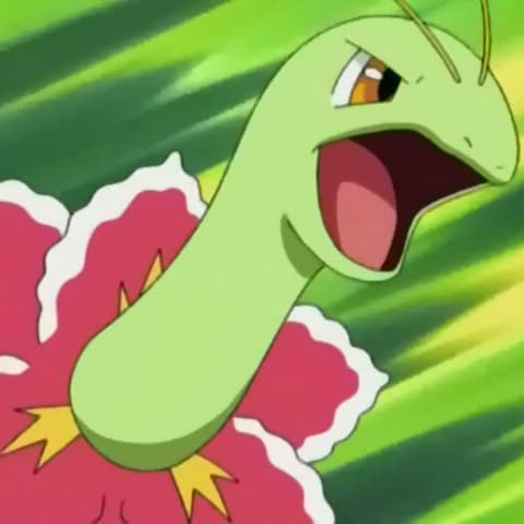 All The Best Green Pokémon, Ranked By Fans