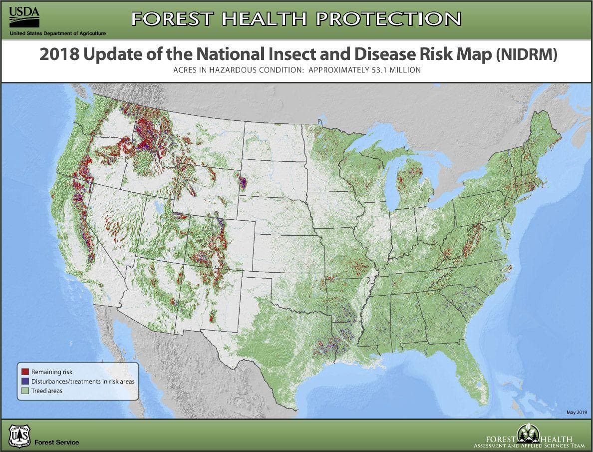 20 Maps Of Disease Outbreaks That Made Us Say 'Whoa'