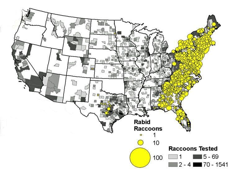 20 Maps Of Disease Outbreaks That Made Us Say 'Whoa'