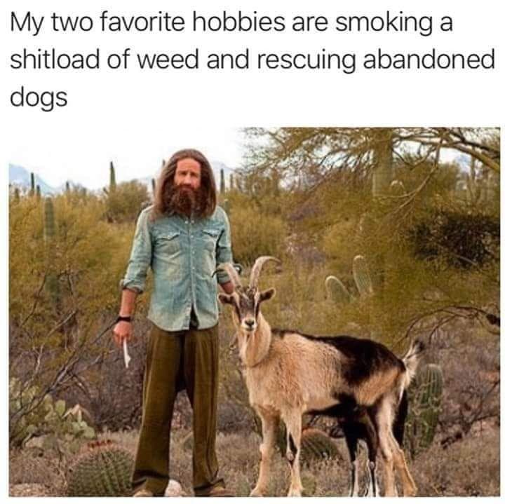 27 Funny 420 Memes, Ranked