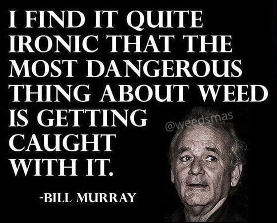 27 Funny 420 Memes, Ranked