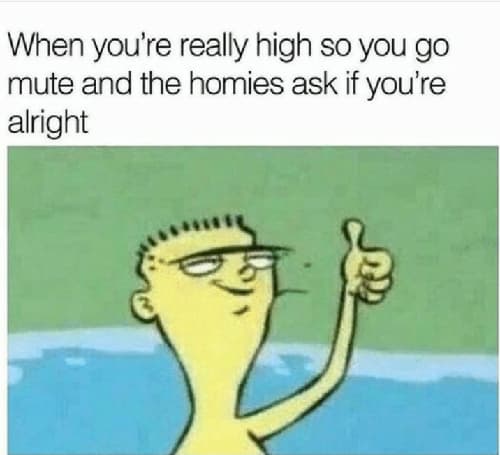 27 Funny 420 Memes, Ranked