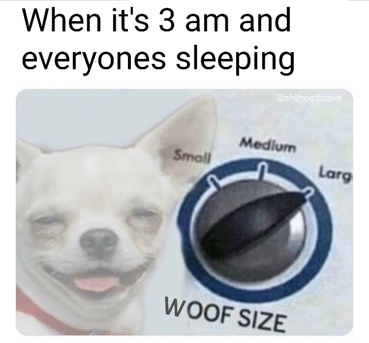 Wholesome Dog Memes That Made Us Smile Way Too Hard