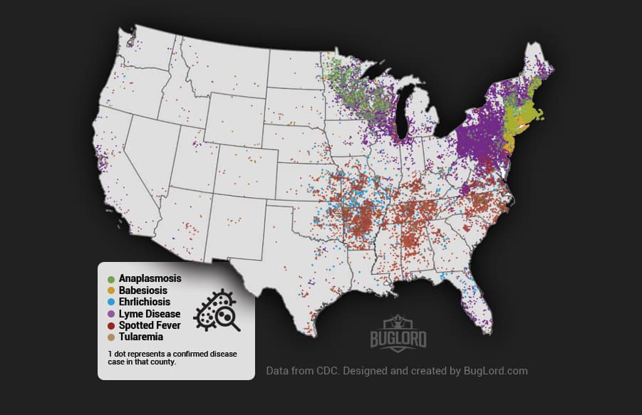 18 US Maps That Show The Darkest Ways The Country Is Divided