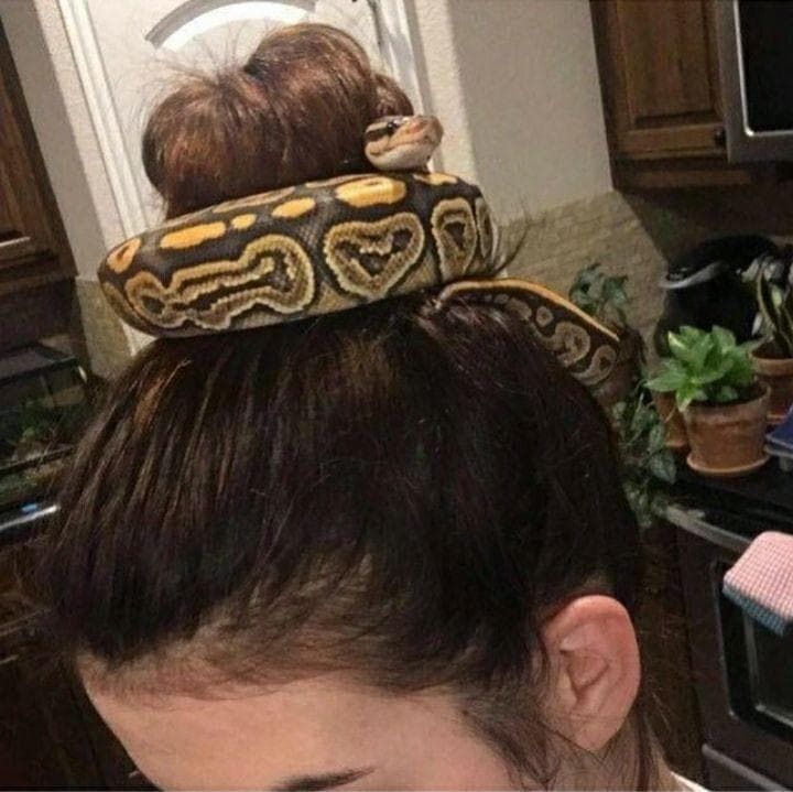 26 Hilarious 'Blursed' Images That Walk The Line Between Blessed And Cursed