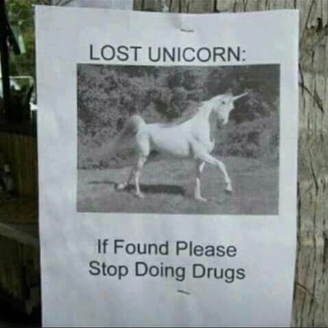 25 Random Unicorn Memes That Might Make Your Day A Little More Magical