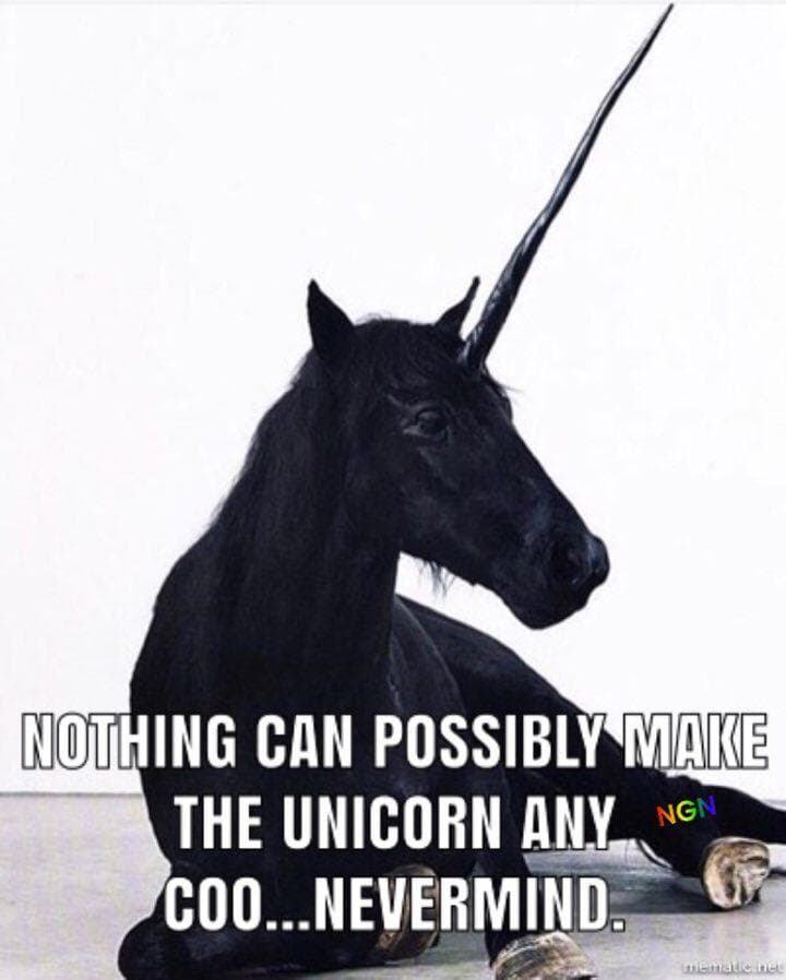 Memes Unicorn