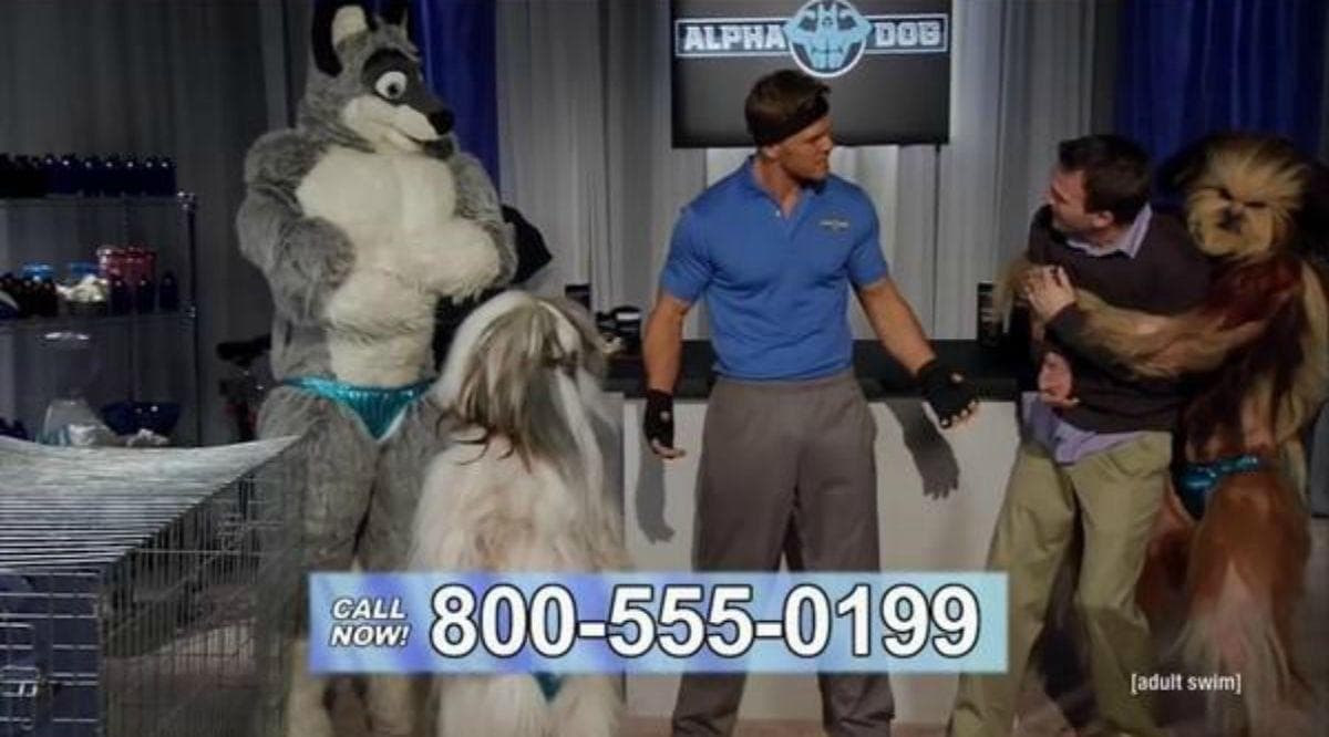 Adult Swim's Disturbing Short Films And Clips, Ranked By WTF-Ness