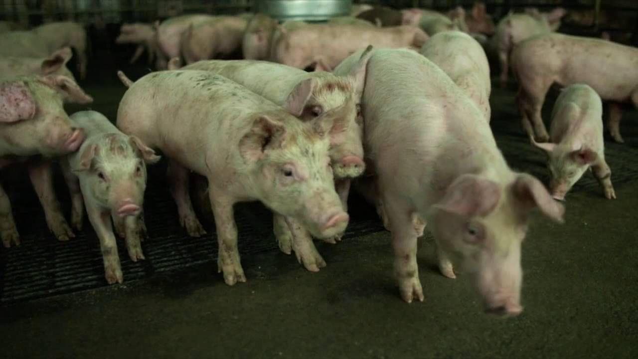 Overlooked in 2011, ‘Contagion’ Is A Realistic And Scary Horror Movie