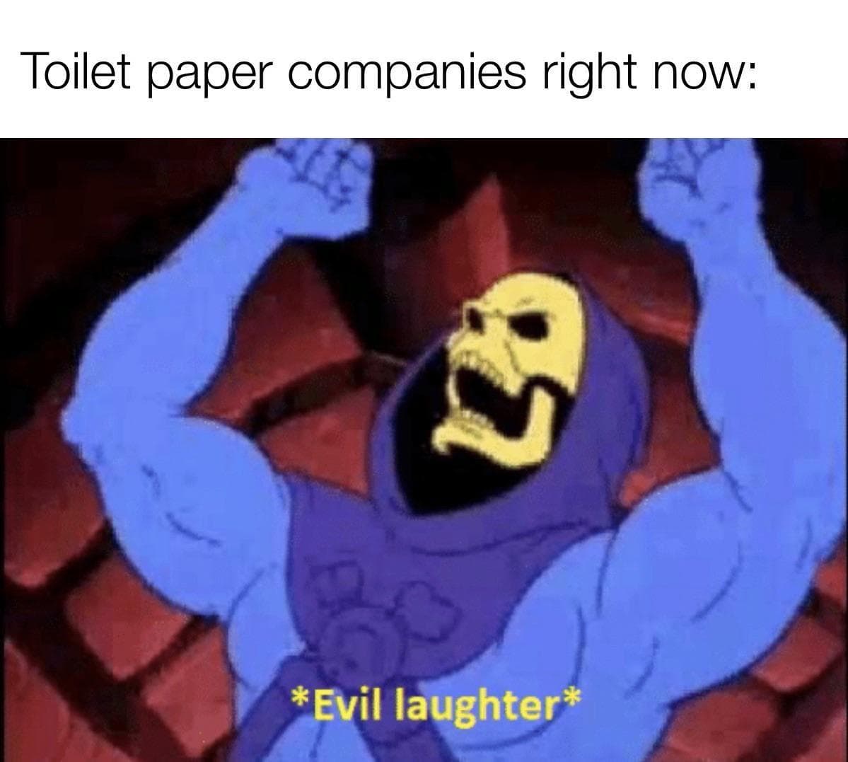 30 Toilet Paper Memes That Prove People Don't Know How To Behave In A ...