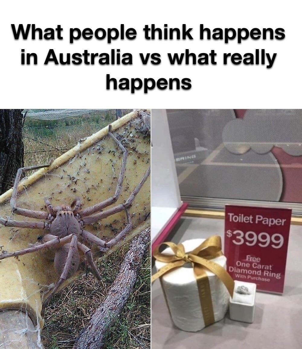 30 Toilet Paper Memes That Prove People Don't Know How To Behave In A ...