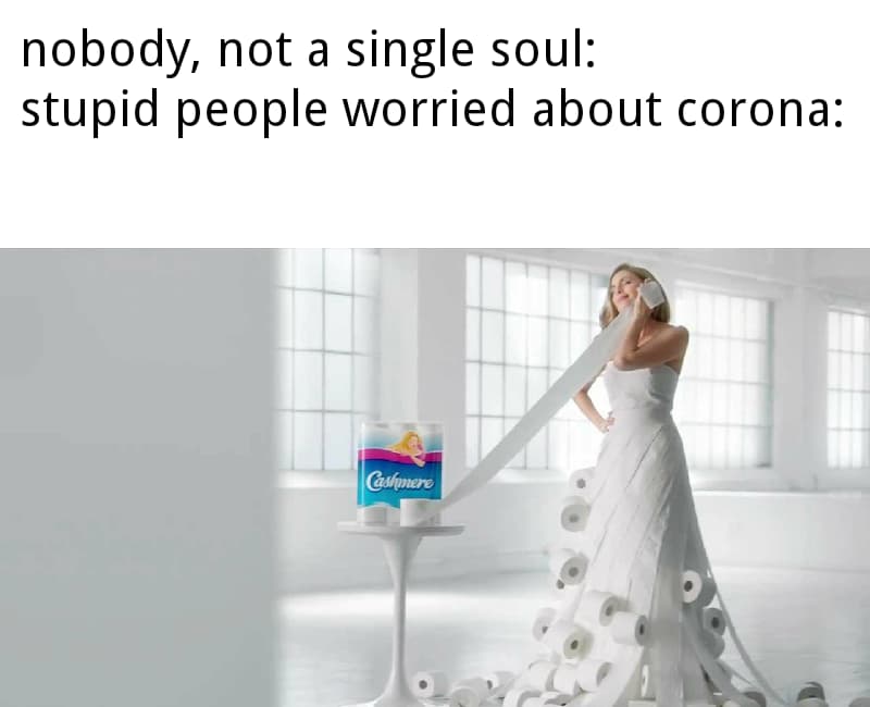 30 Toilet Paper Memes That Prove People Don't Know How To Behave In A ...