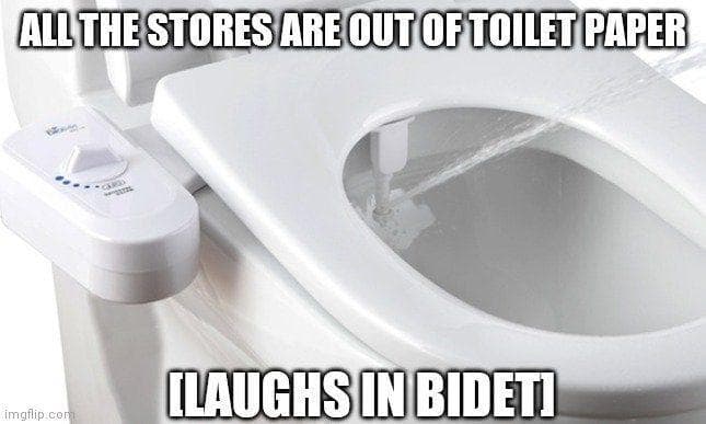 30 Toilet Paper Memes That Prove People Don't Know How To Behave In A ...