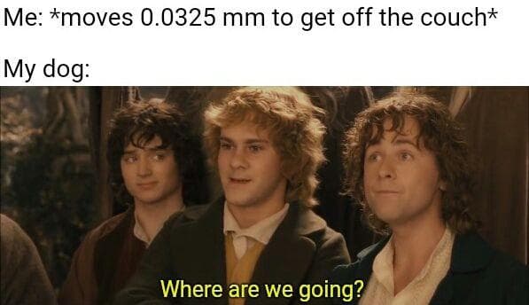 27 Memes About Hobbits That Deserve A Second Breakfast