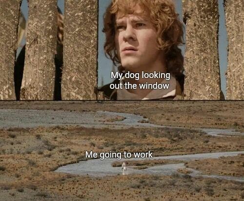 27 Memes About Hobbits That Deserve A Second Breakfast