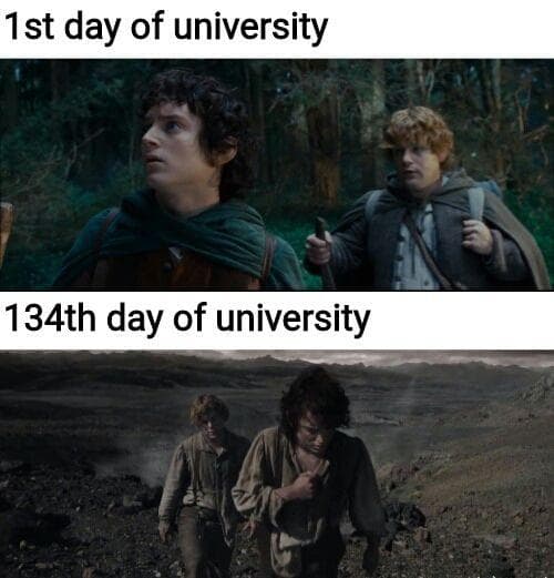 27 Memes About Hobbits That Deserve A Second Breakfast