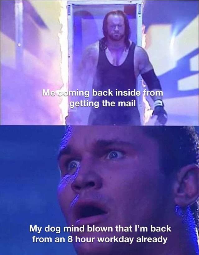 22 Hilarious Memes About Staying Home That Are Actually Kinda Uplifting