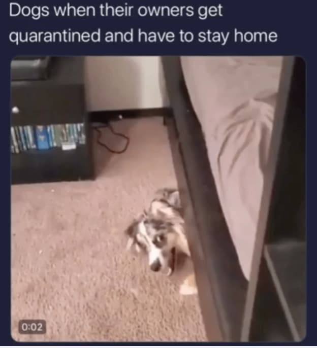 22 Hilarious Memes About Staying Home That Are Actually Kinda Uplifting