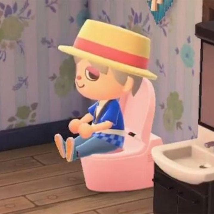 The Best Tips And Tricks For Animal Crossing: New Horizons Players, Ranked