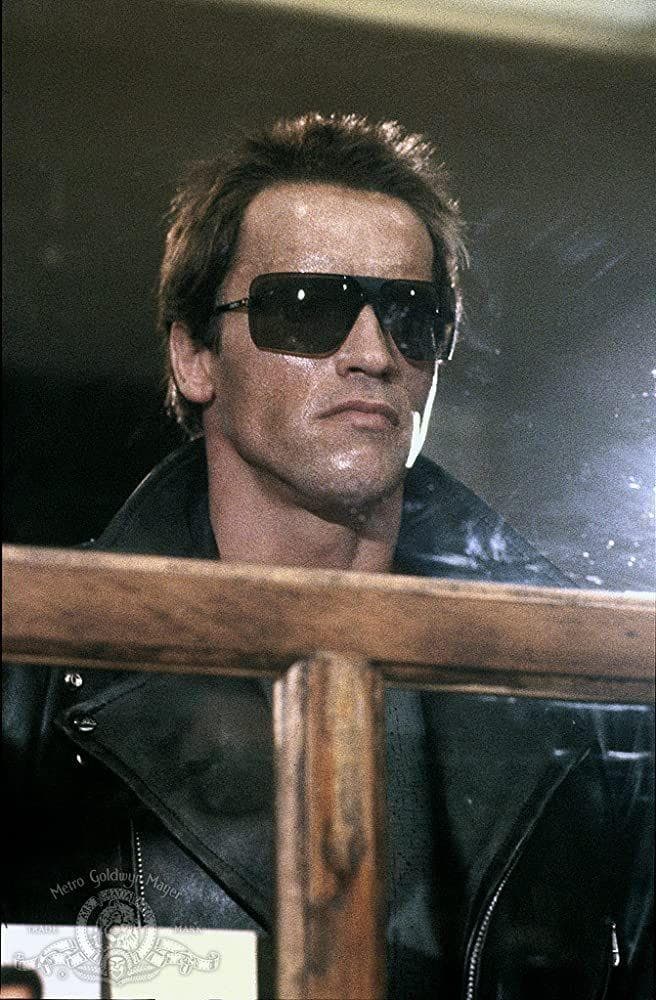 The Most Memorable 'The Terminator' Quotes, Ranked By Fans