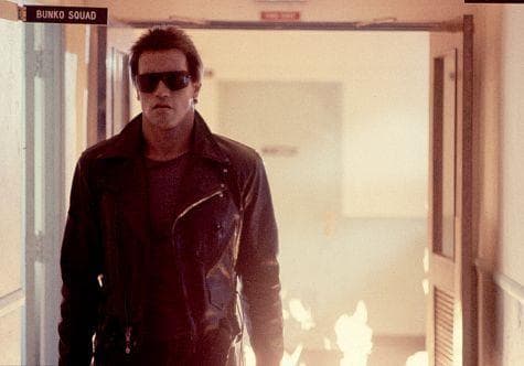 The Most Memorable 'The Terminator' Quotes, Ranked By Fans