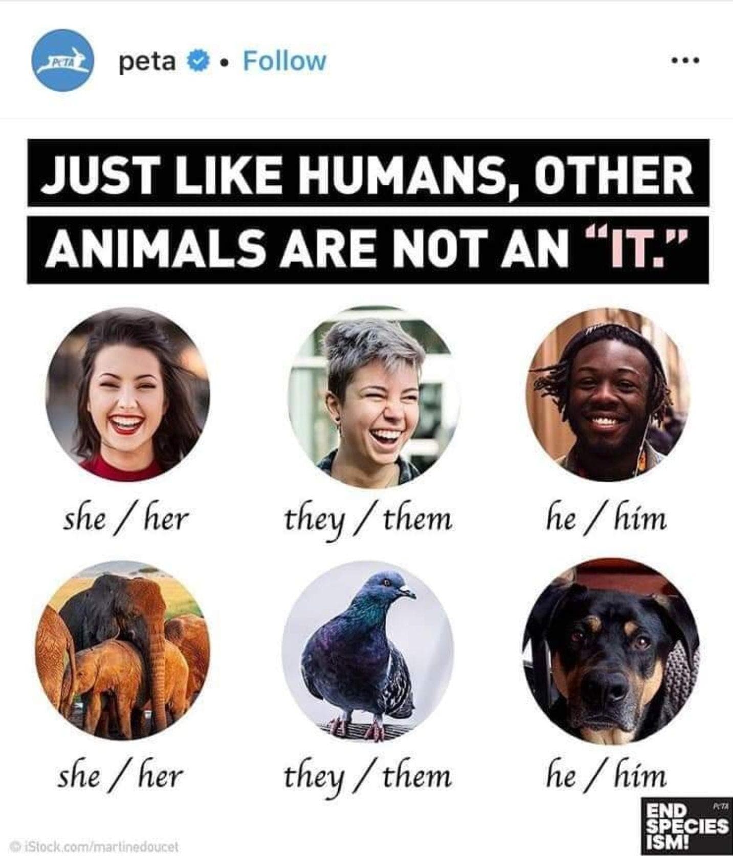 22 Times PETA's Social Media Was The Absolute Worst
