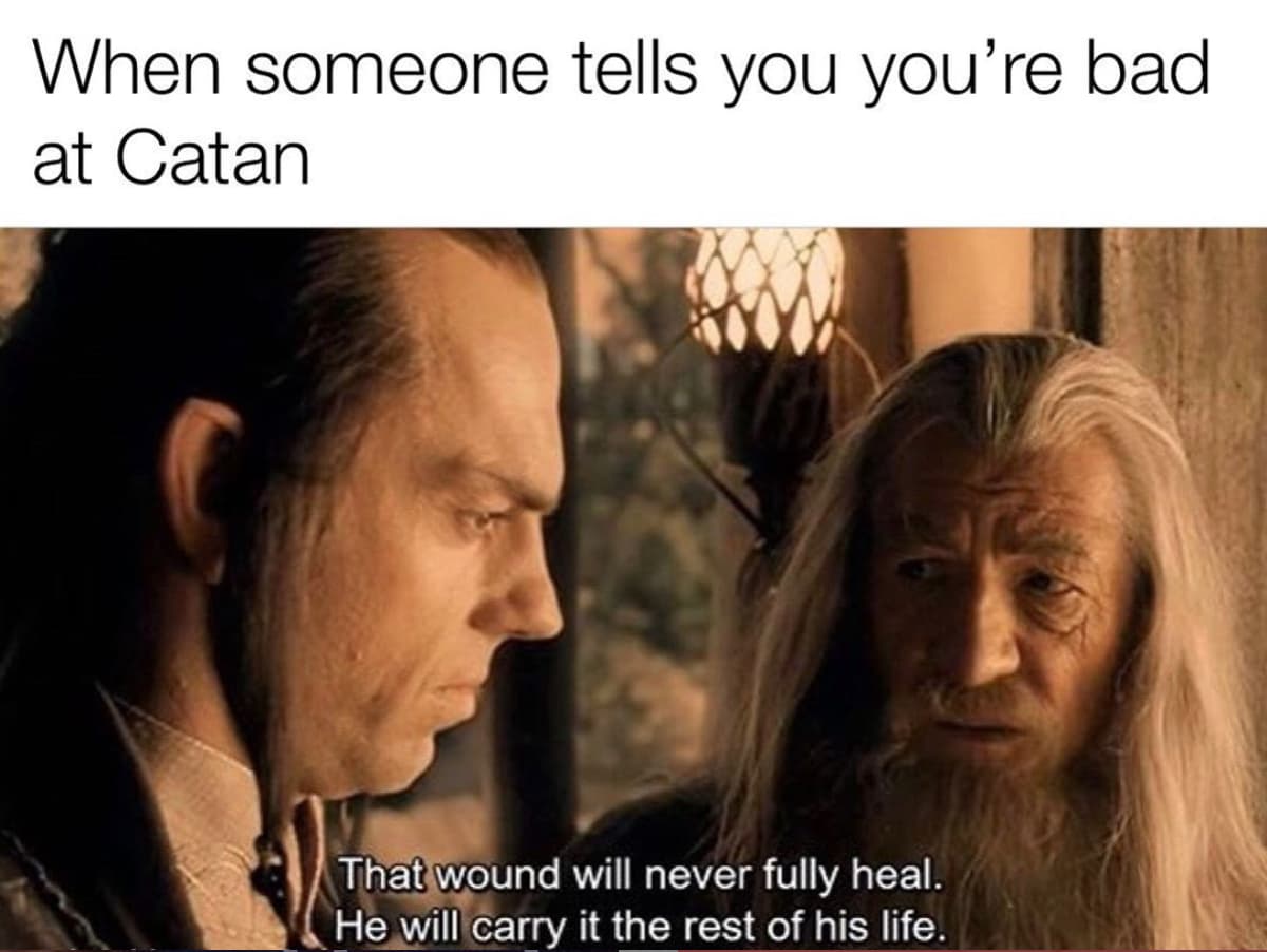 27 'Settlers Of Catan' Memes That Perfectly Capture How Intense Game ...