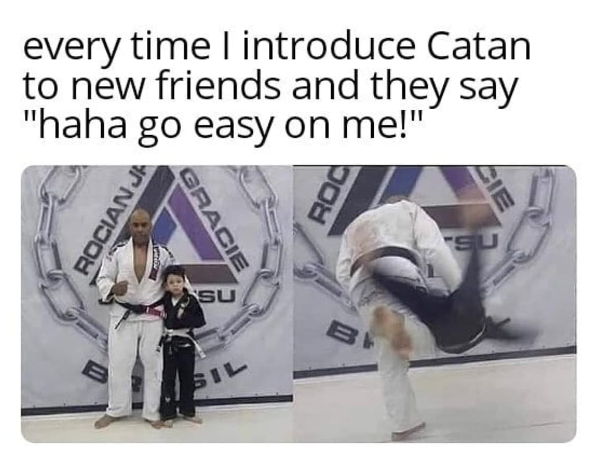 27 'Settlers Of Catan' Memes That Perfectly Capture How Intense Game ...