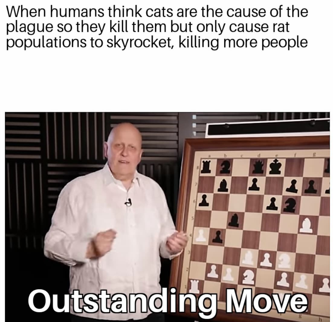 20 Plague Memes For History Buffs Looking For A Laugh