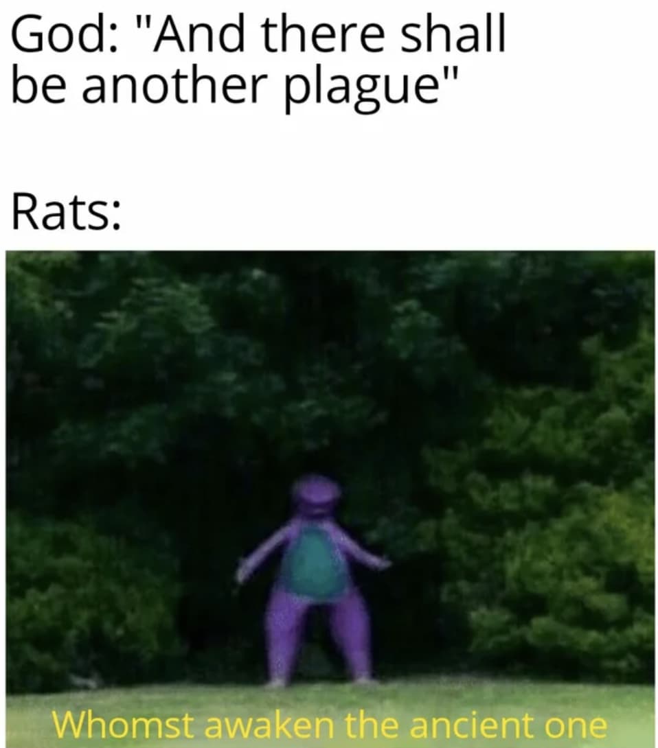 22 Plague Memes For History Buffs Looking For A Laugh