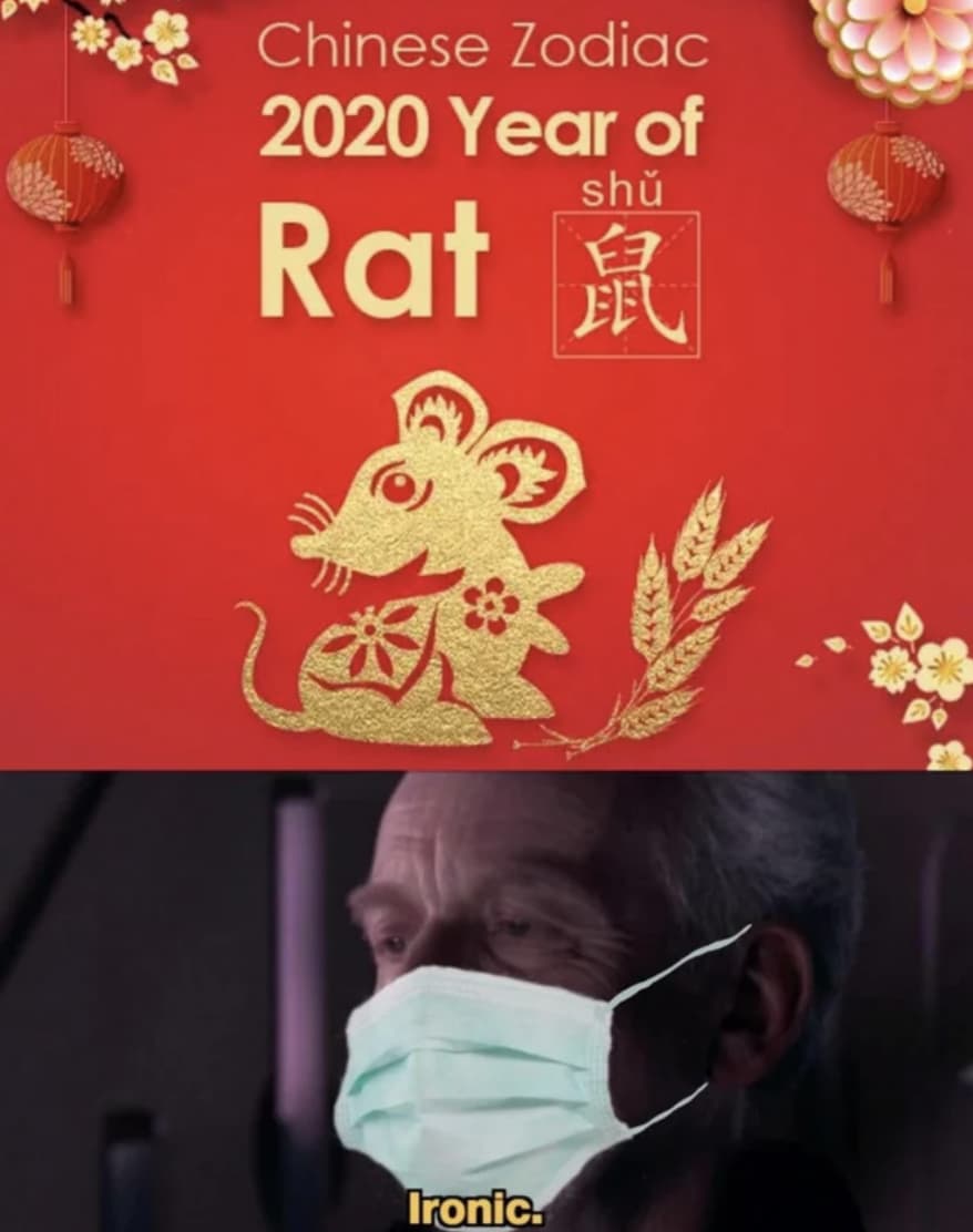 22 Plague Memes For History Buffs Looking For A Laugh