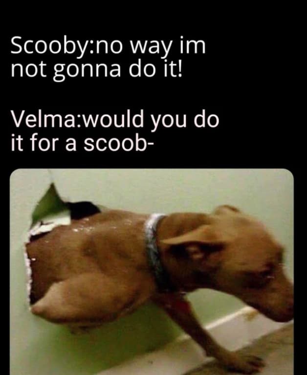 21 'Scooby-Doo' Memes That Only You Meddling Kids Will Enjoy