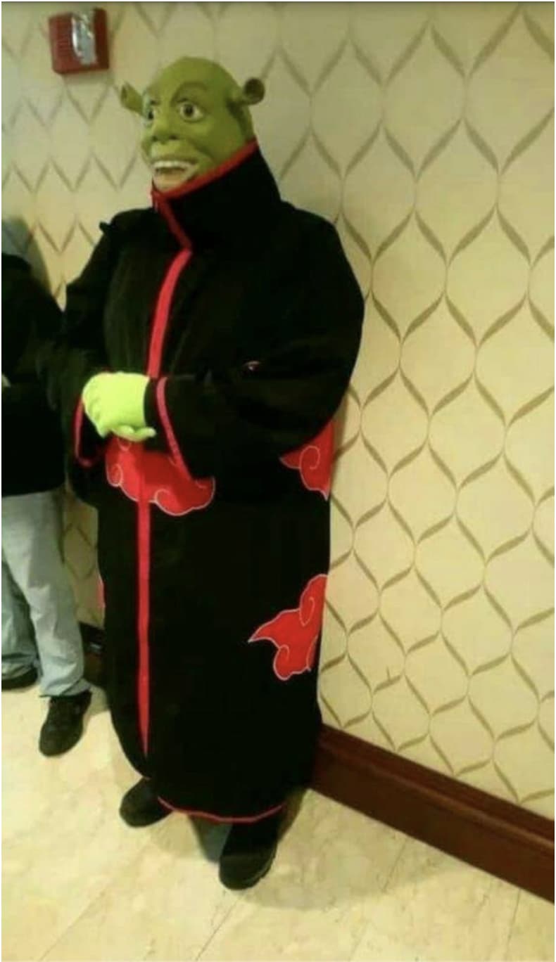 21 Cursed Images Of Shrek We Wish We Could Unsee