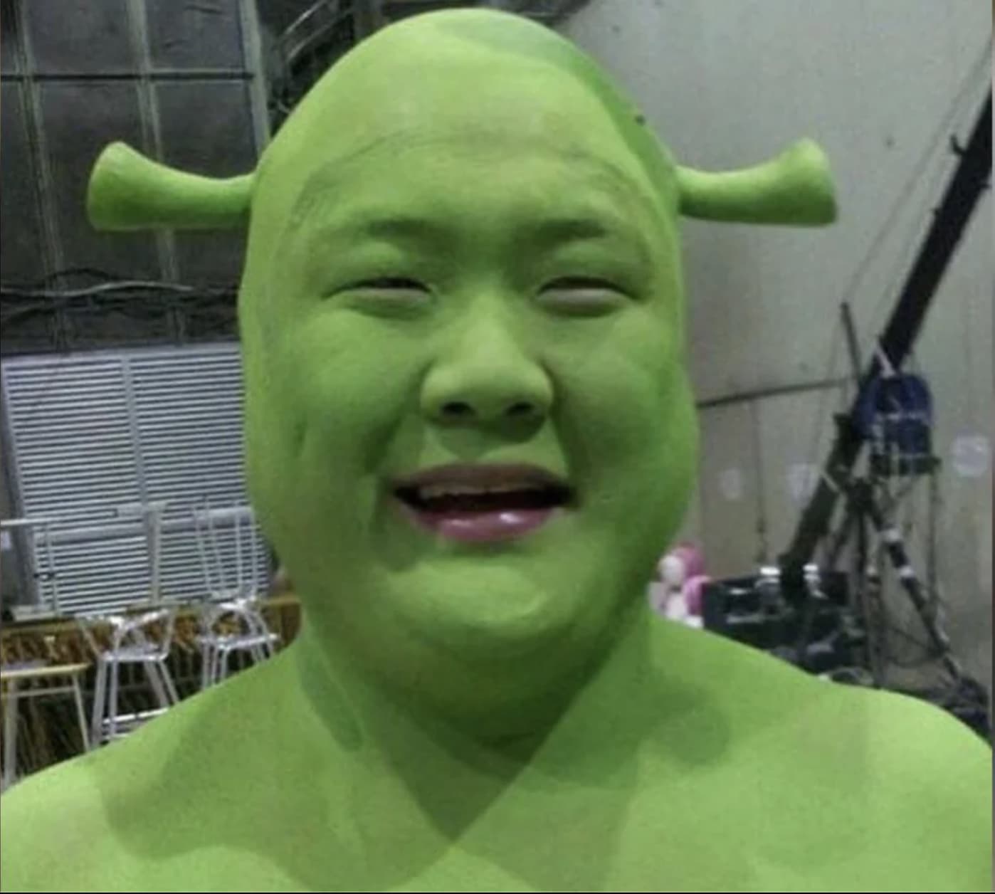 21 Cursed Images Of Shrek We Wish We Could Unsee
